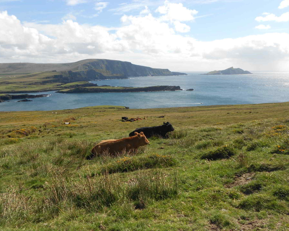 Valentia, Valentia Island, Valentia Ireland - The Dunloe Hotel ...