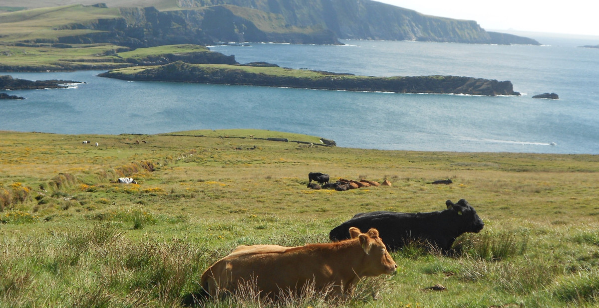 A Walking Tour of Kerry